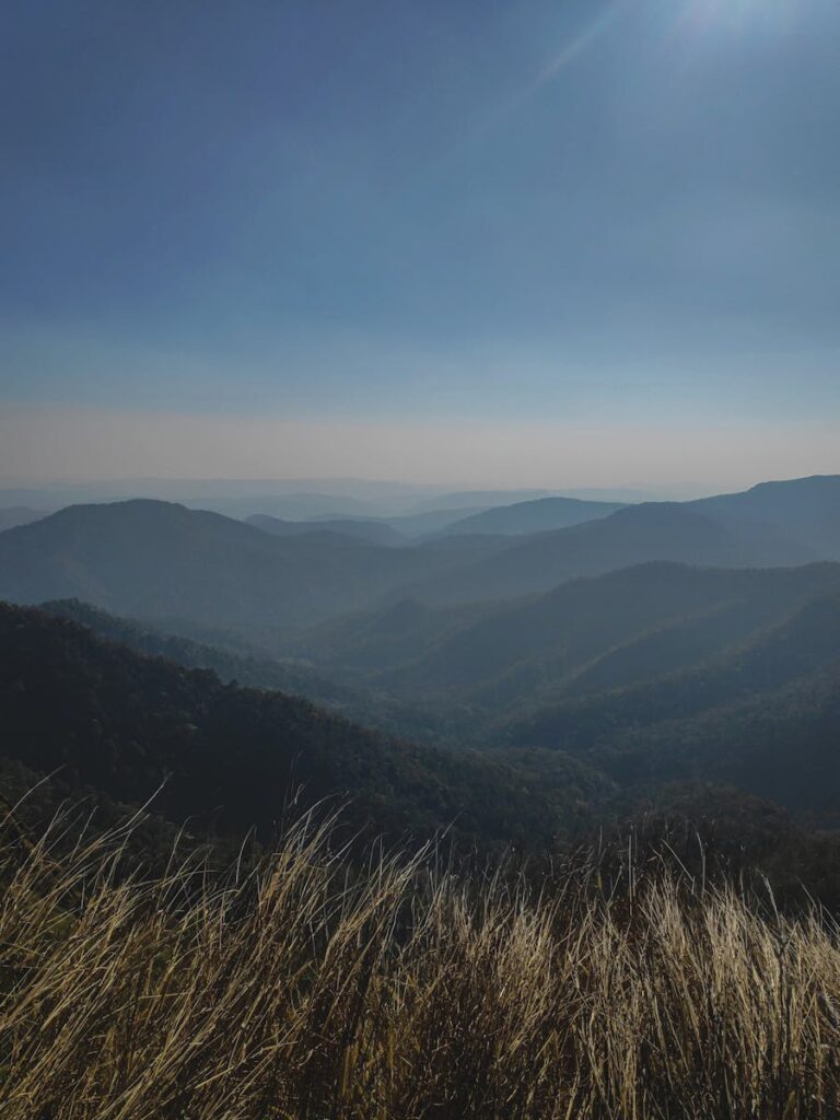 Bachelor of Engineering Science in Biomedical Engineering | Wits ...