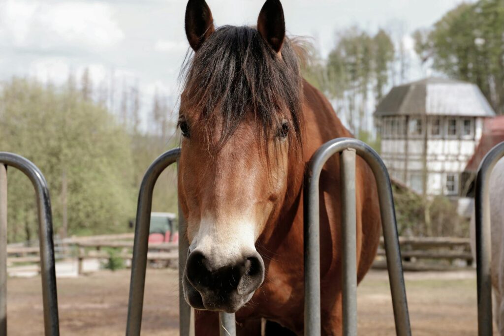 Qualifications requiring 26 APS | UniApplyForMe