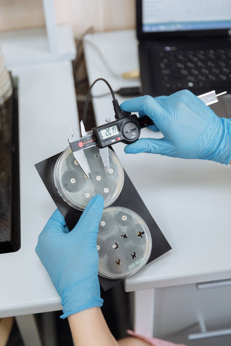 Bachelor of Science in Microbiology | UP | UniApplyForMe